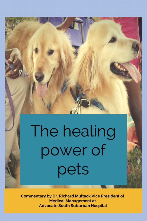 Infographic: The healing power of pets | health enews